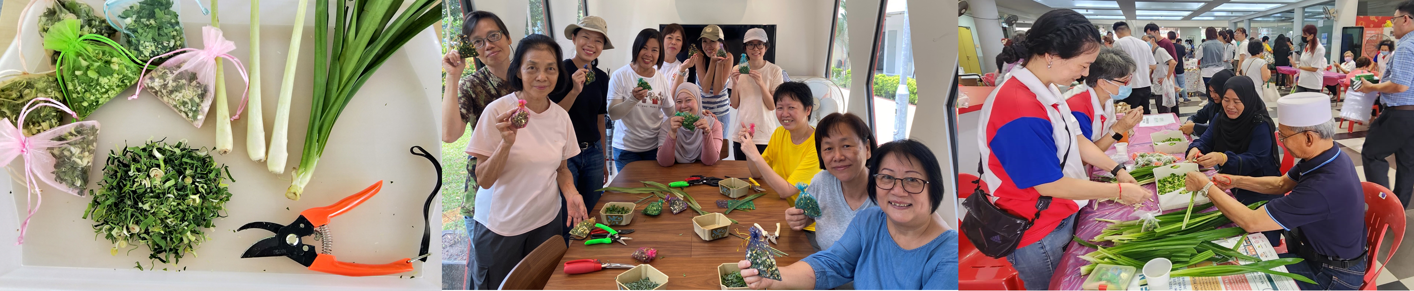 Therapeutic Horticulture