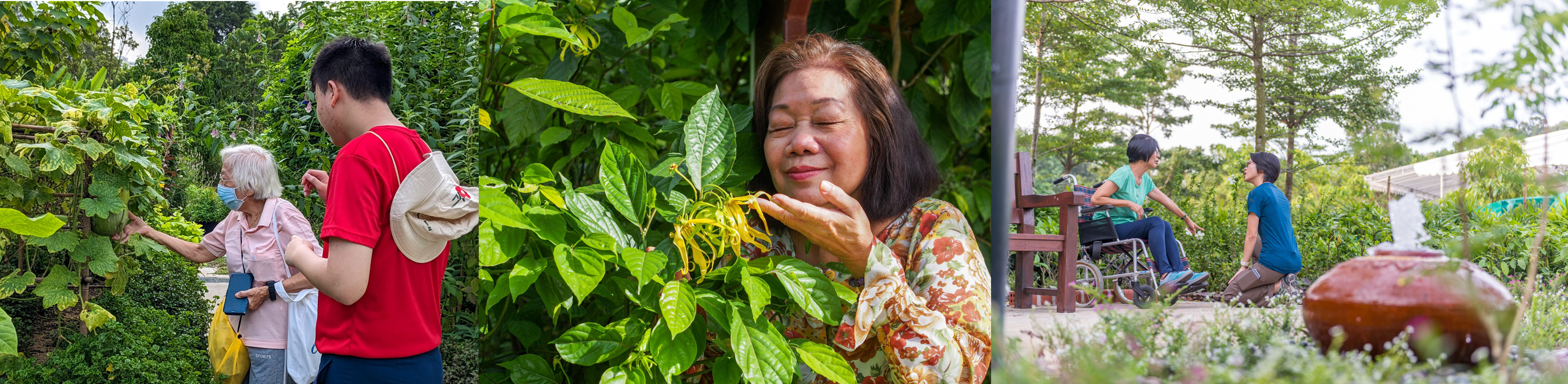Therapeutic Horticulture